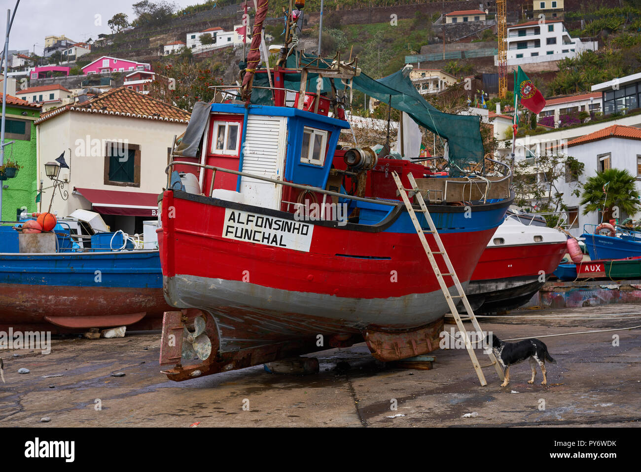 Fishing boat madeira fish hi-res stock photography and images - Alamy
