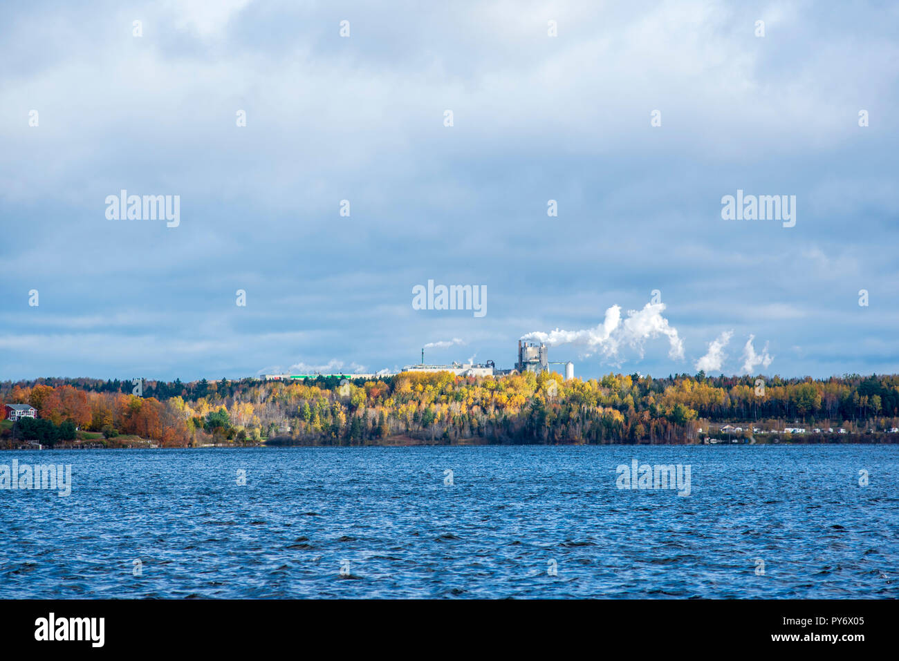 Cellulose hi-res stock photography and images - Alamy