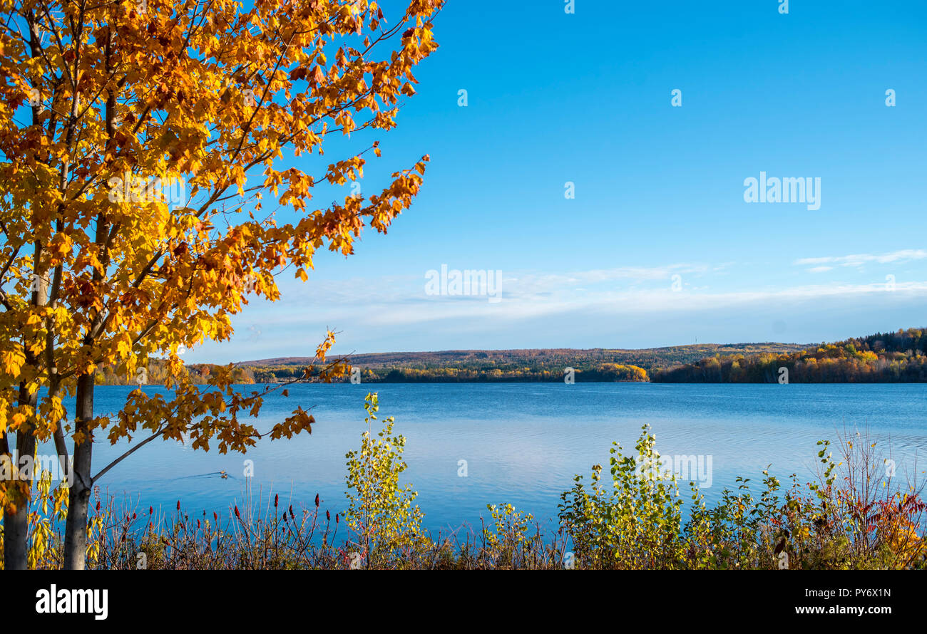 Fall colours, fall colors along the st. john river, new brunswick ...