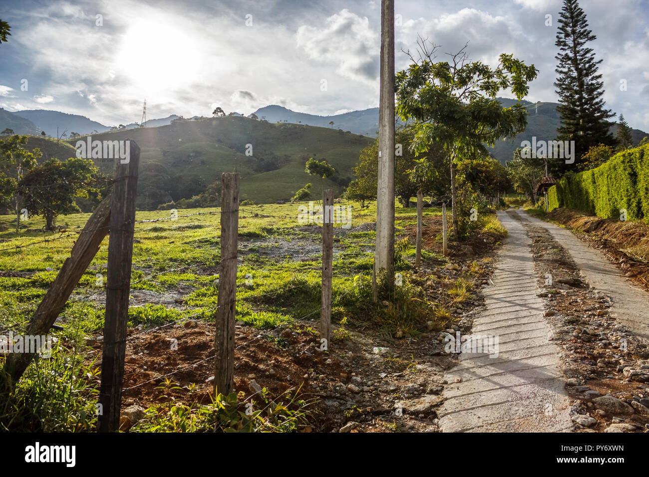 Country Forest Scapes Stock Photo - Alamy