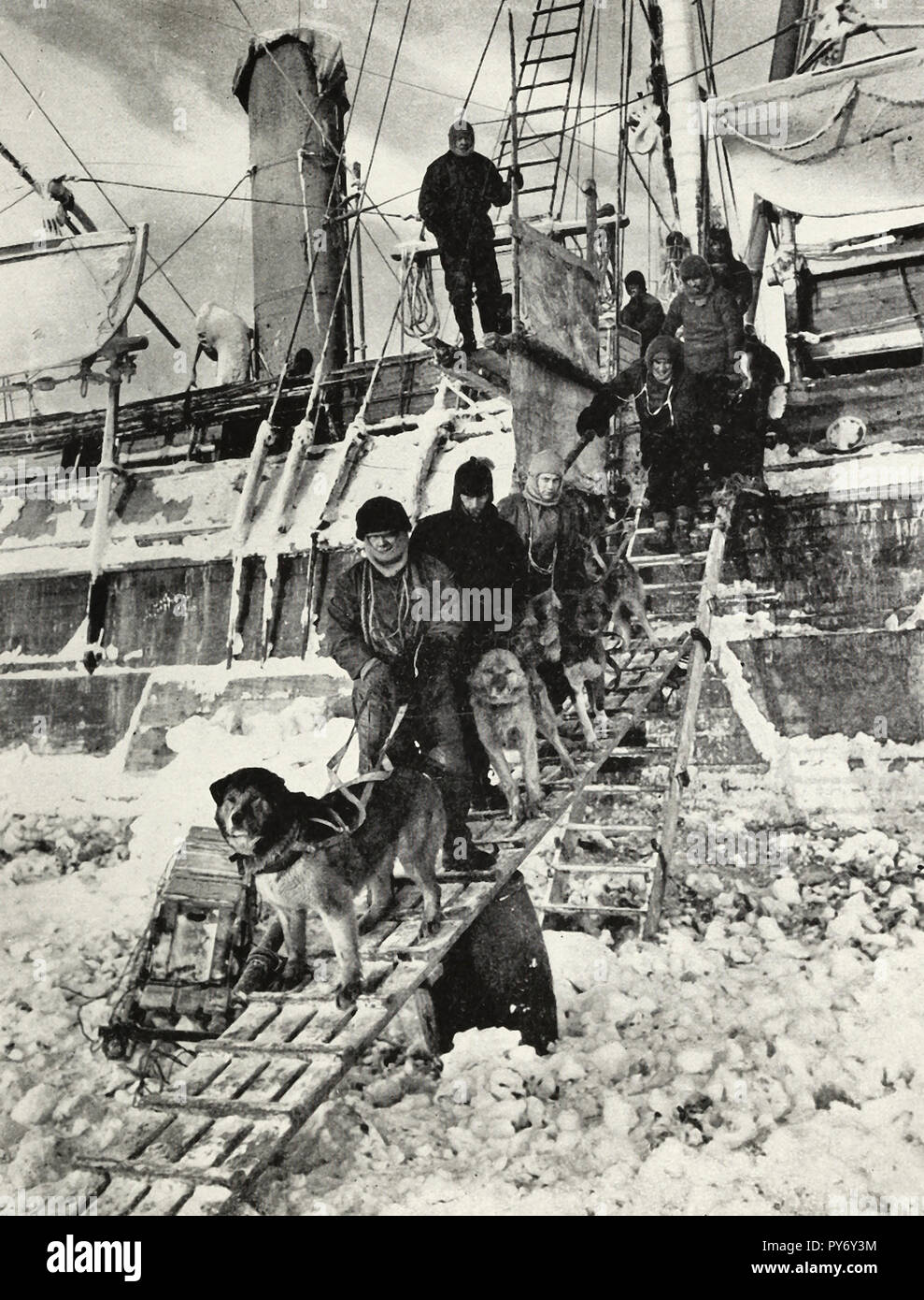 Before calamity overtook the HMS Endurance, the dogs were kennelled on ...