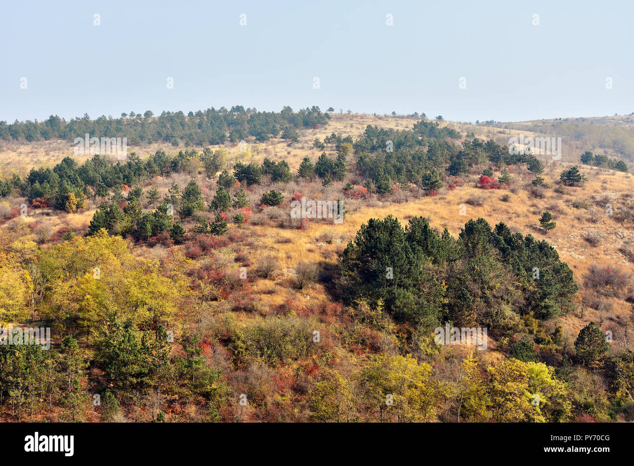 Mouth of dobrogea hi-res stock photography and images - Alamy