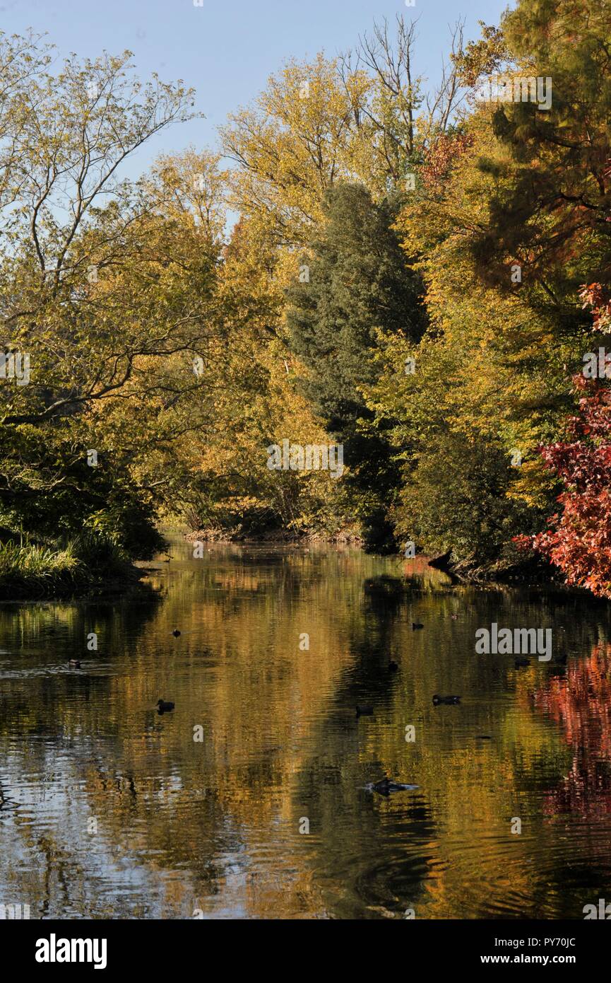 Glorious autumn colours Stock Photo - Alamy
