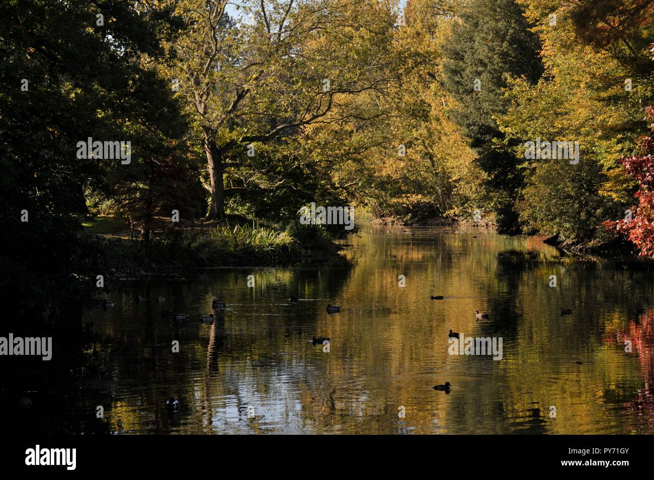 Glorious autumn colours Stock Photo - Alamy