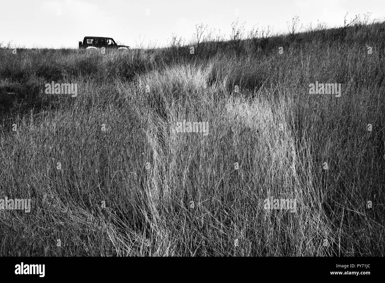 Rural road trip car Black and White Stock Photos & Images - Alamy