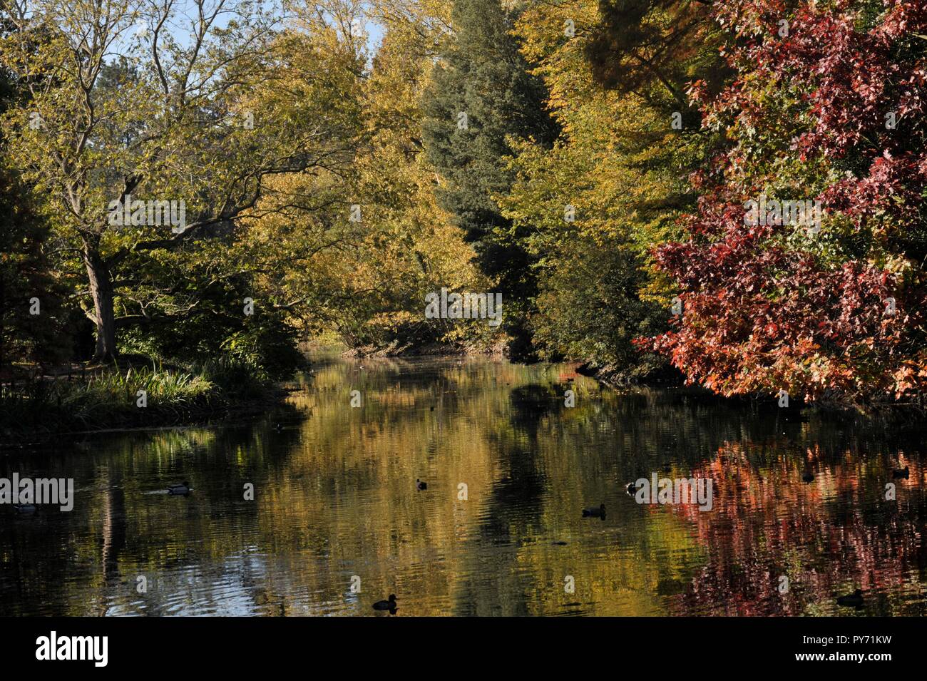Glorious autumn colours Stock Photo - Alamy