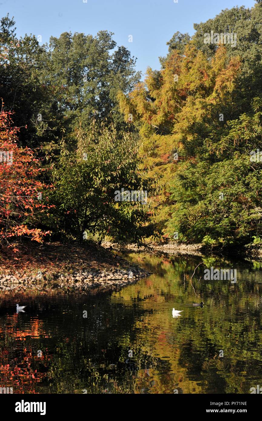 Glorious autumn colours Stock Photo - Alamy