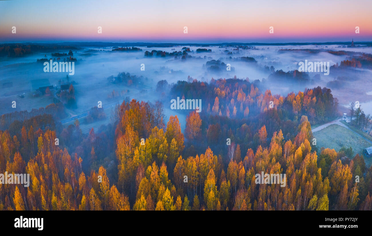 Aerial panoramic view of fog at Autumn, Lithuania Stock Photo - Alamy