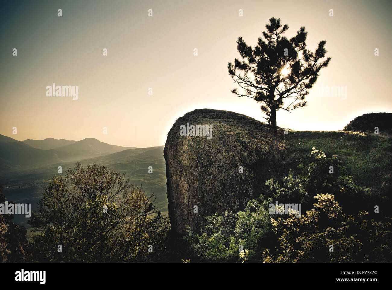 Silhouette mountain tree hi-res stock photography and images - Alamy