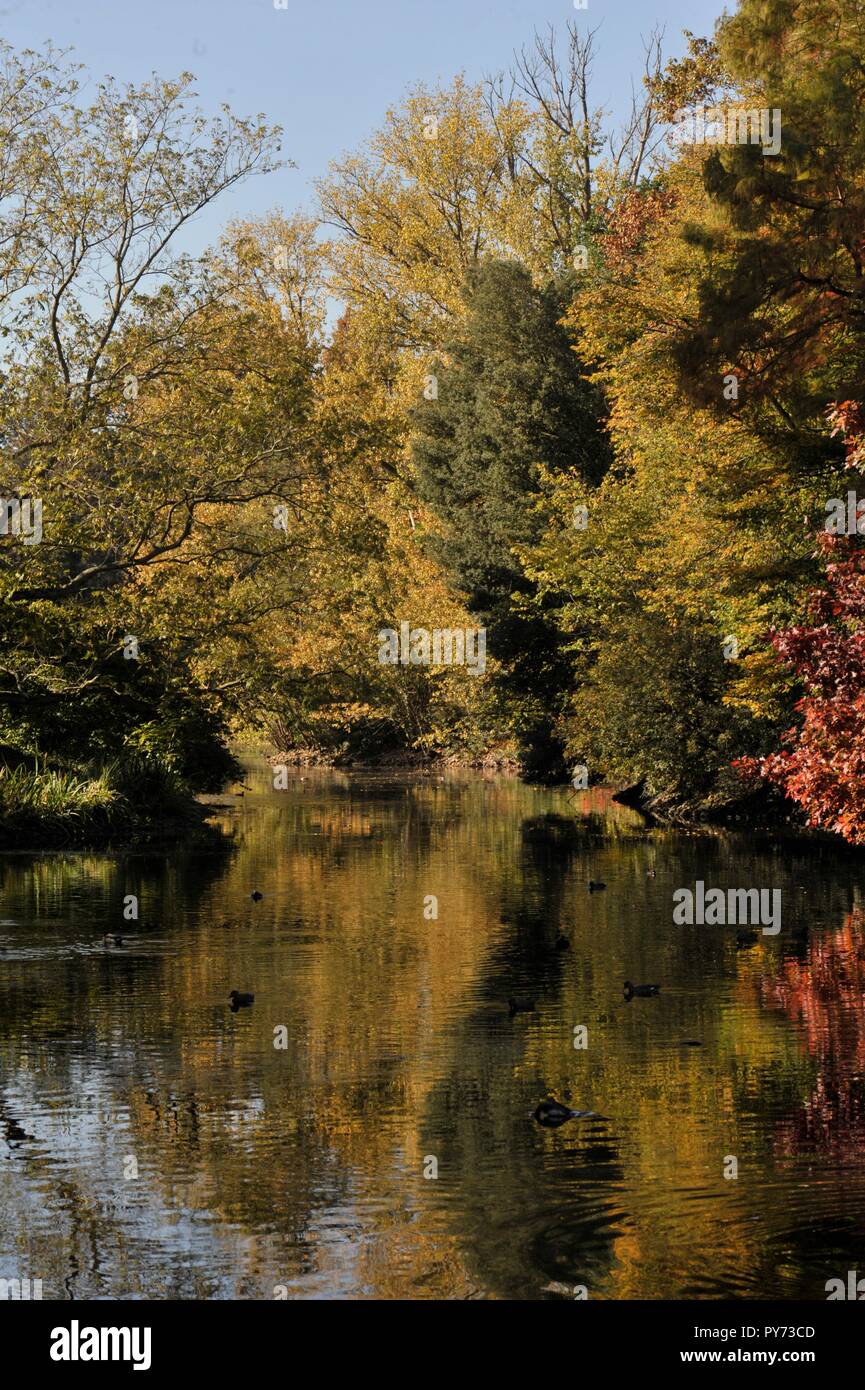 Glorious autumn colours Stock Photo - Alamy