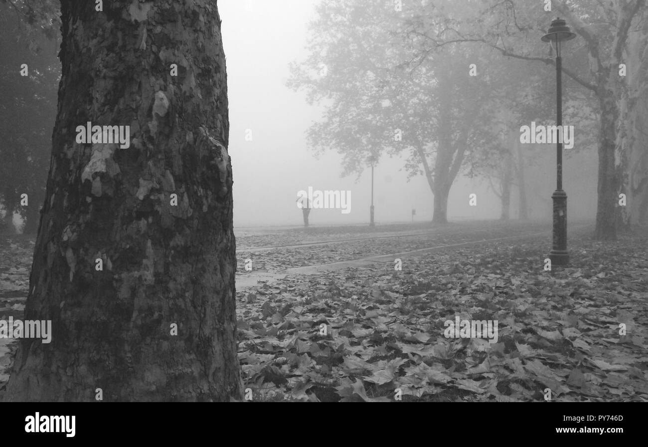 A representation of a "typical" November wethear: cold, foggy and rainy ...