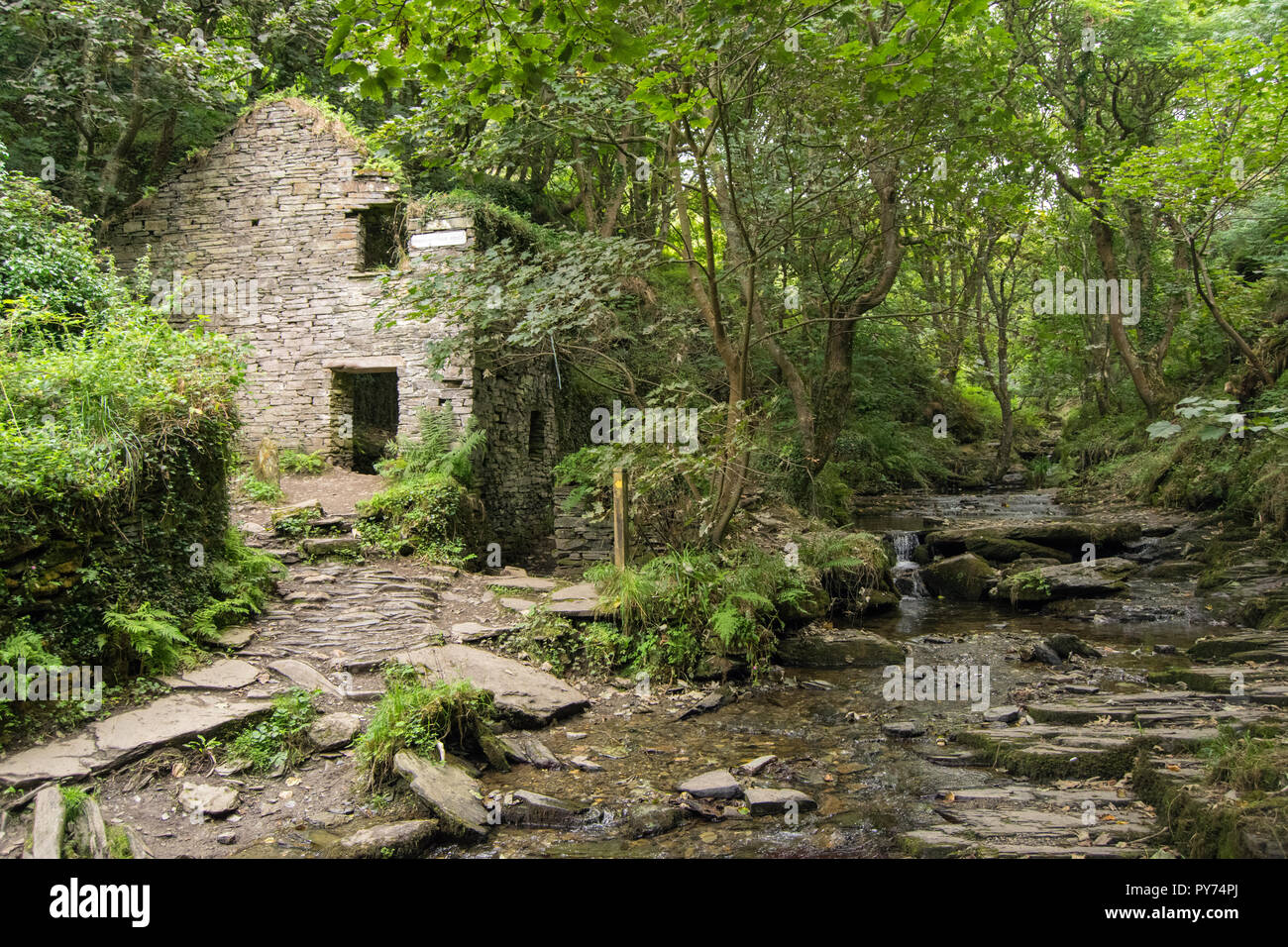 Cornwall boscastle river hi-res stock photography and images - Alamy