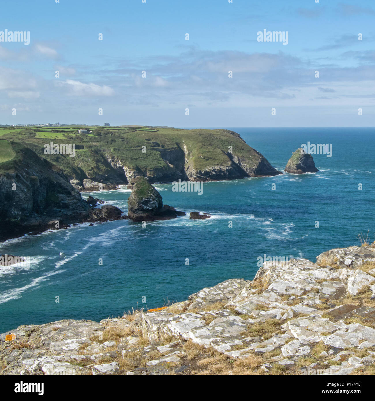 View of the Clifftops from the Coastal Path near Boscastle, Cornwall UK ...