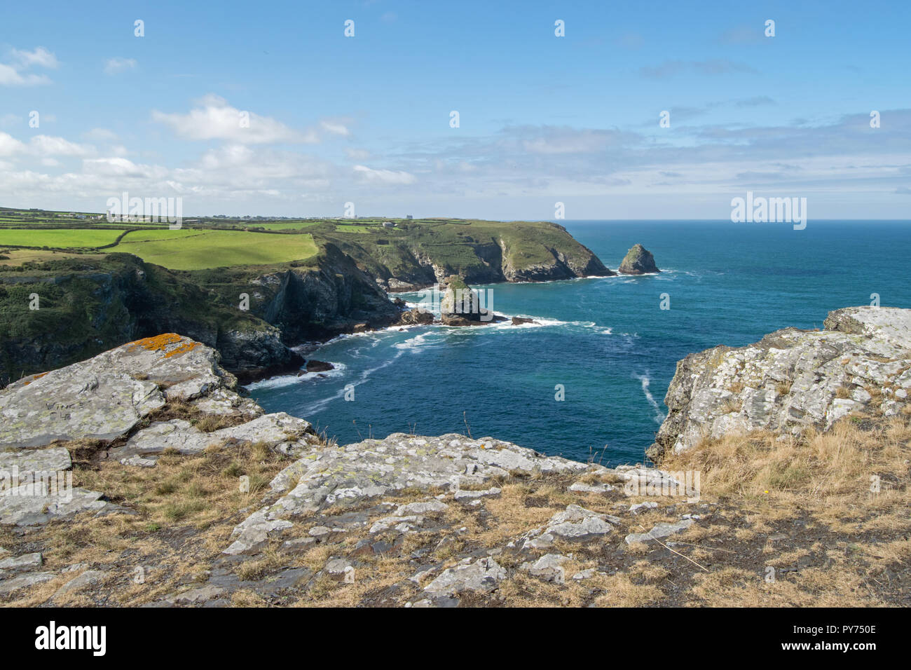 View of the Clifftops from the Coastal Path near Boscastle, Cornwall UK ...