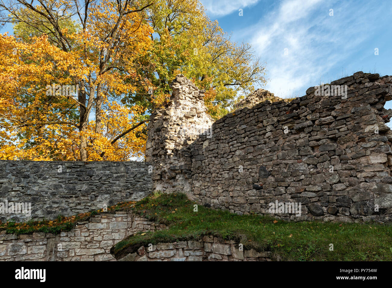 Old medieval stone wall under autumn tree Stock Photo - Alamy