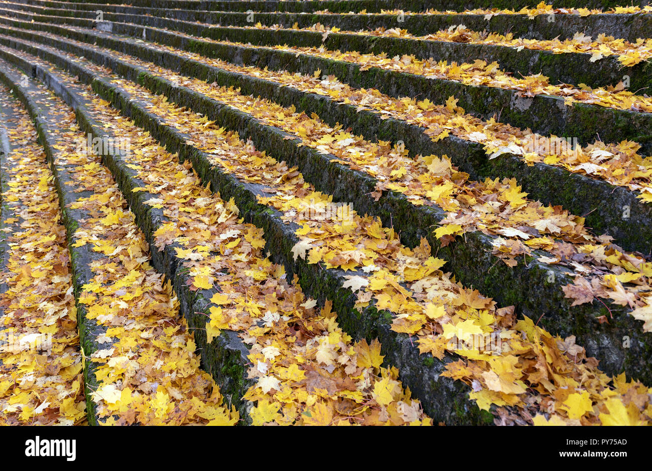 Fortress ruins and ancient steps covered by yellow autumn leaves Stock ...