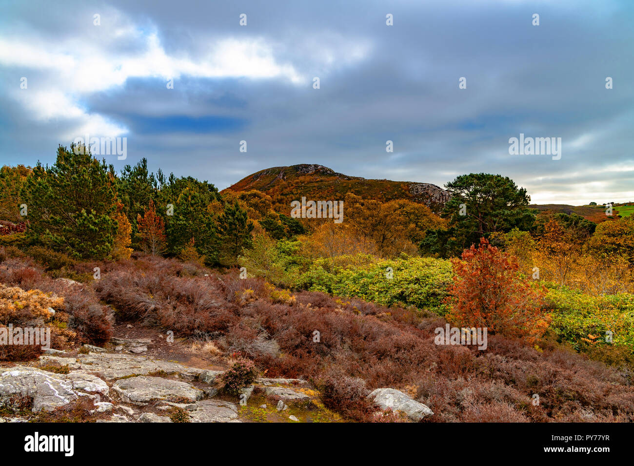 Howth Castle and Grounds Stock Photo - Alamy