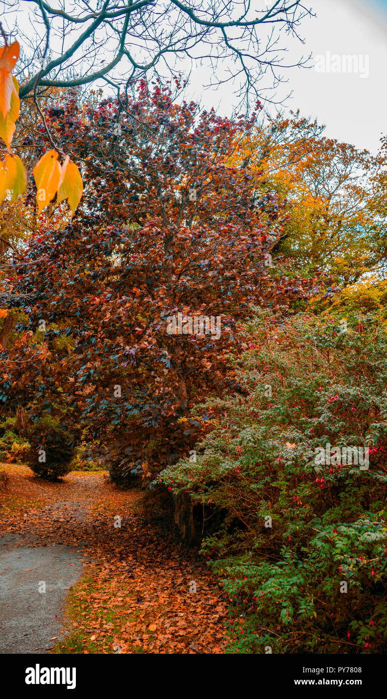 Howth Castle and Grounds Stock Photo - Alamy
