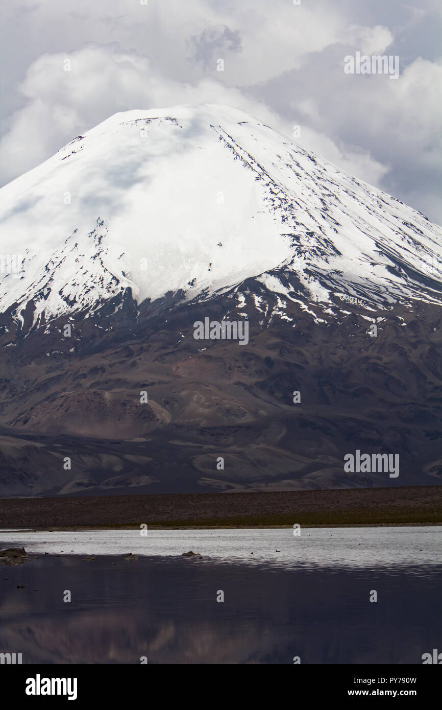 Snow covered Volcan Parinacota rising about 20,000 feet near the border ...