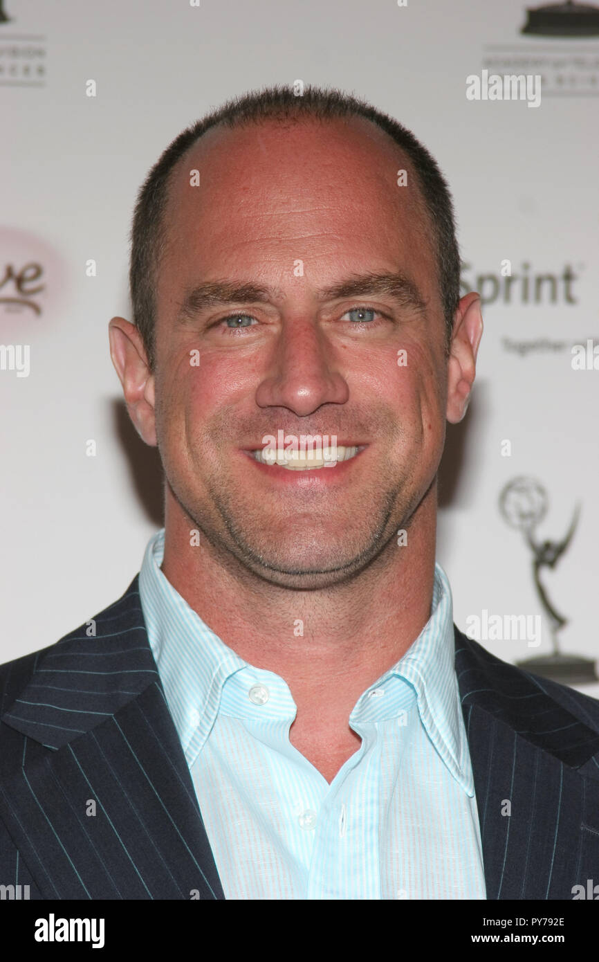 Christopher Meloni Hair