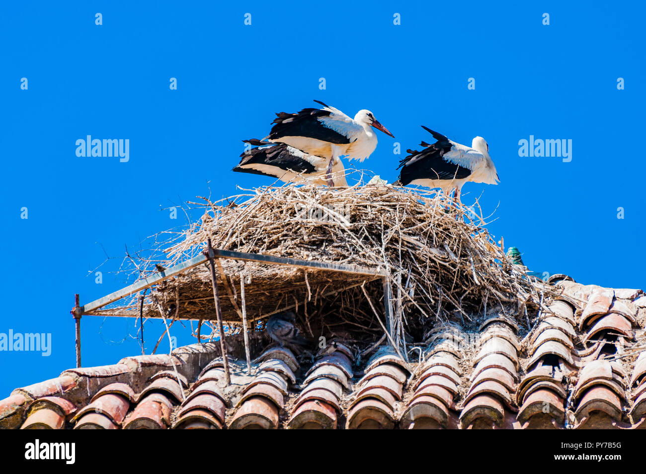 Nest of stork on a roof. Village of El Gordo, the town with the largest ...