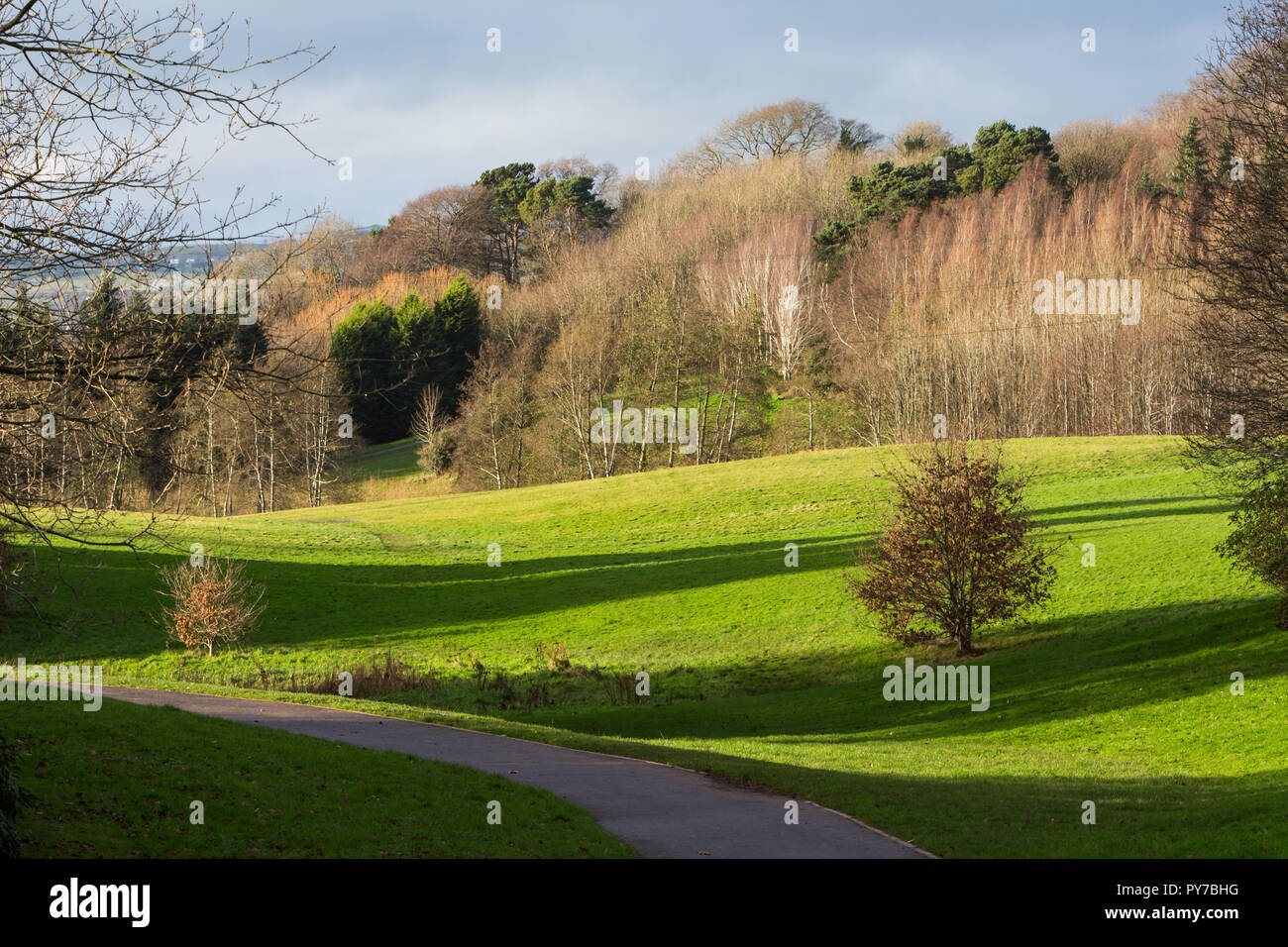 View of open parkland on a bright winters day for a walk in Sir Thomas ...
