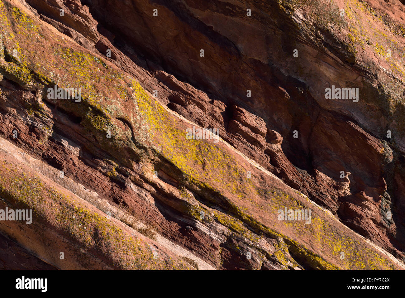 Red rock wind worn texture at sunrise Stock Photo - Alamy