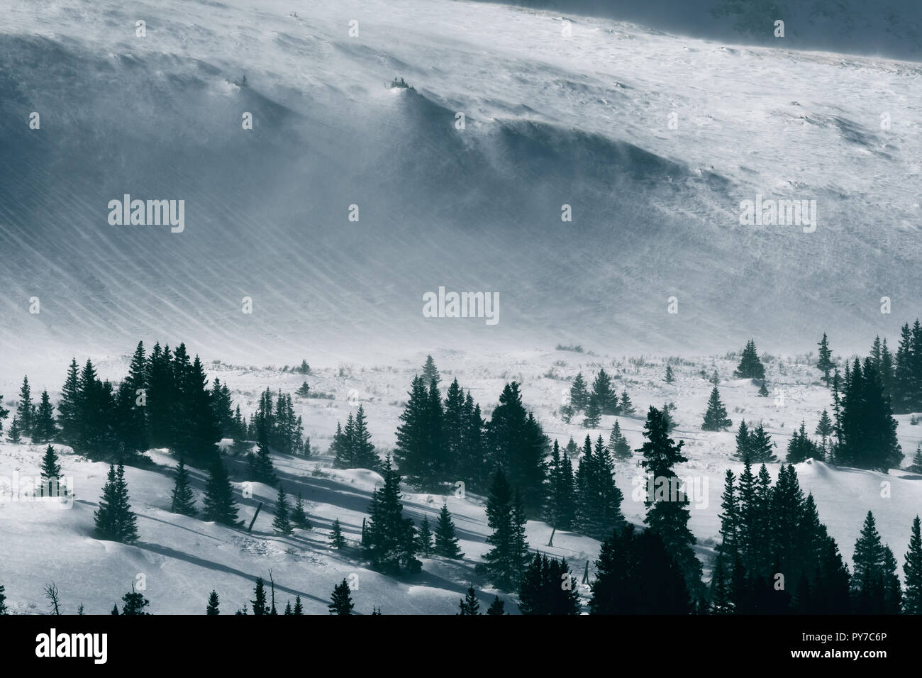 Severe snow storm hi-res stock photography and images - Alamy