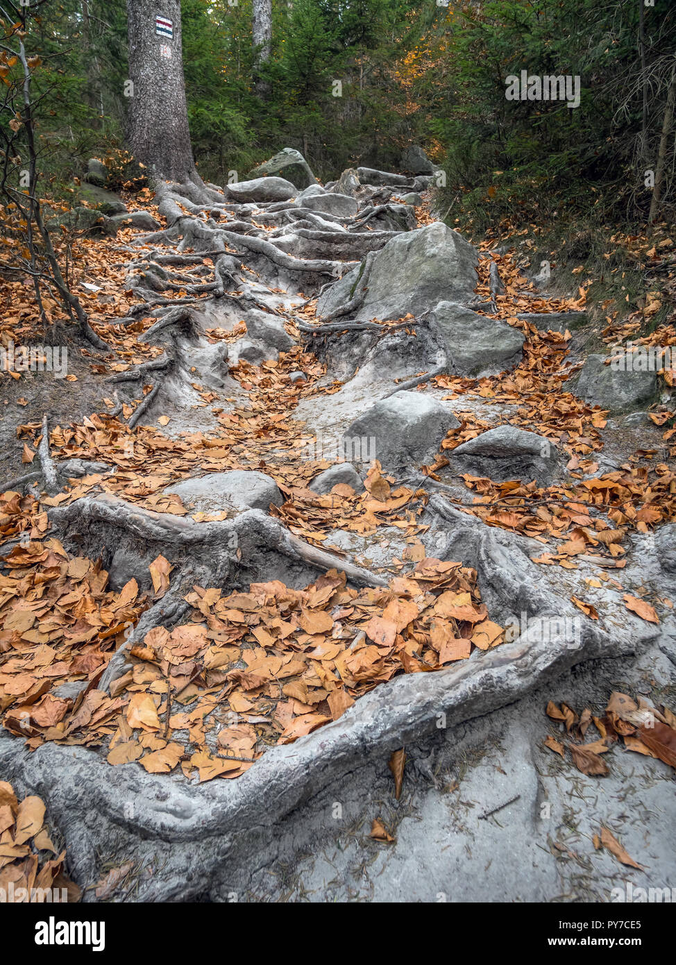 Beautiful tourist trail leading to the so called Errant Rocks in the ...