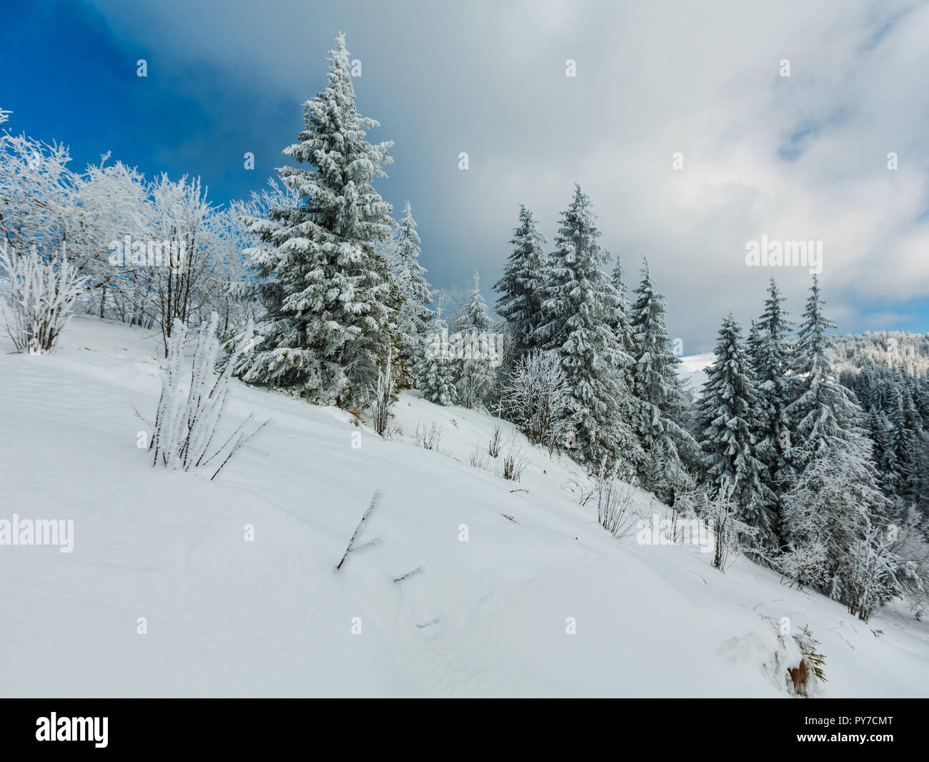 Winter calm mountain landscape with beautiful frosting trees and ...