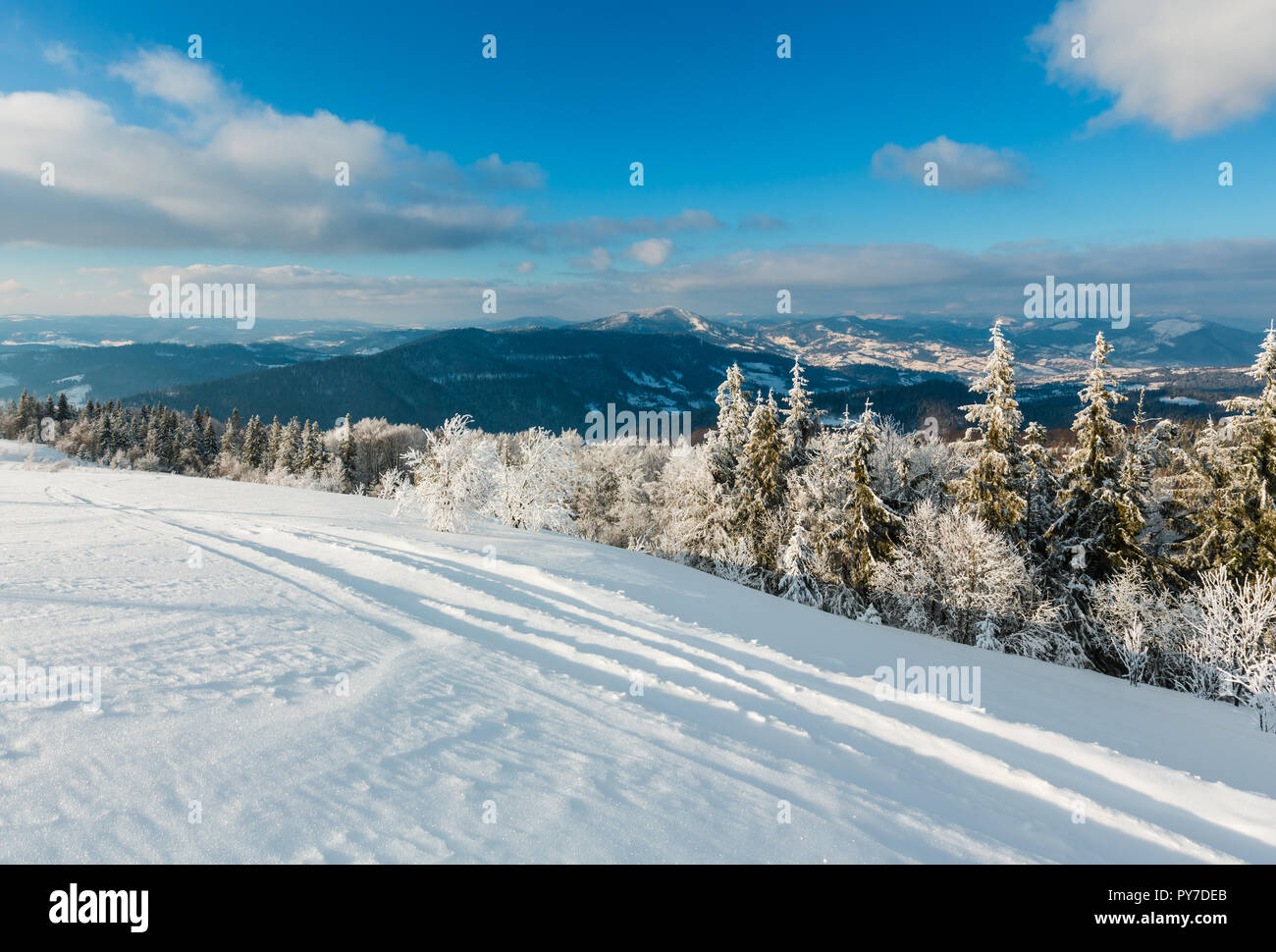 Morning winter calm mountain landscape with beautiful frosting trees ...