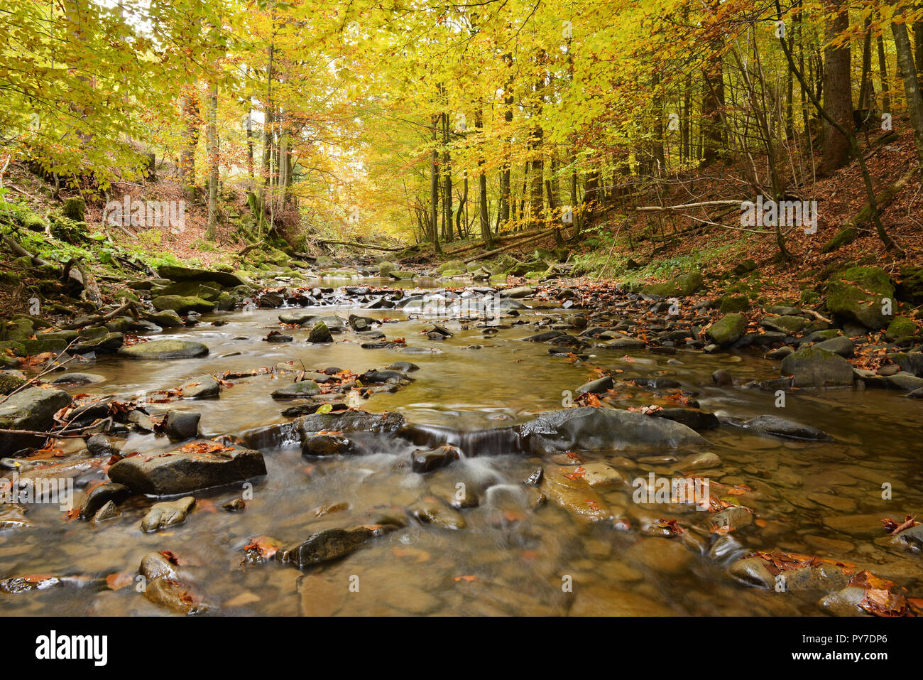Autumn landscape with river and beautiful foliage Stock Photo - Alamy