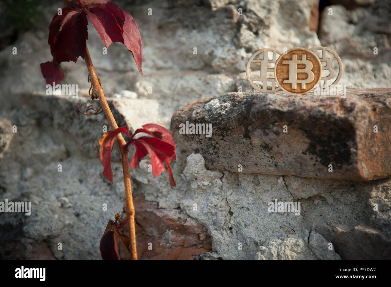 Bit coin on the old stone and brick wall Stock Photo - Alamy