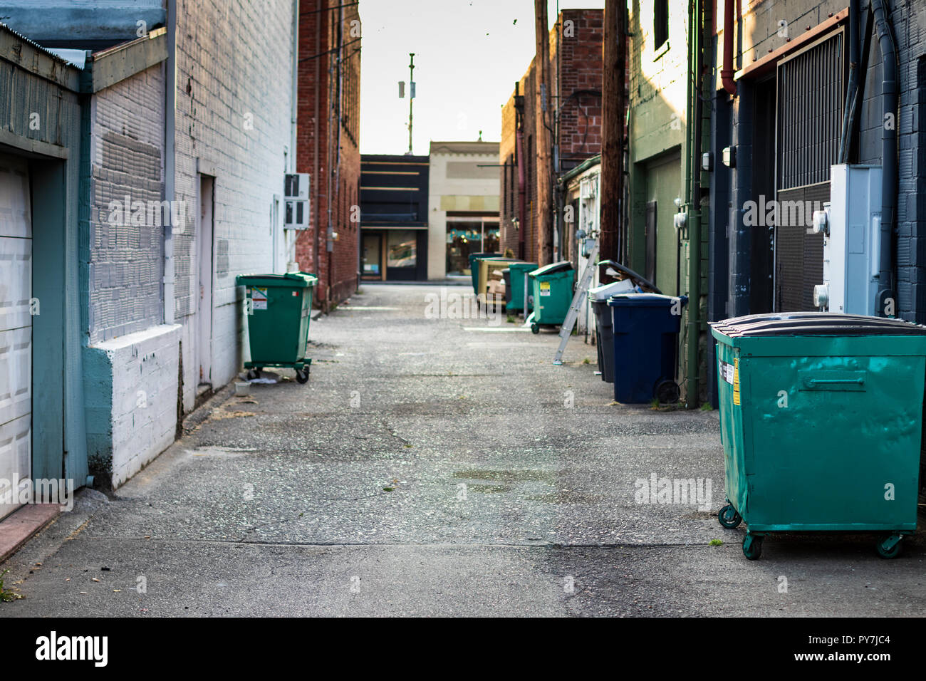 City alley with trash, dumpsters, and garbage cans with a brick ...