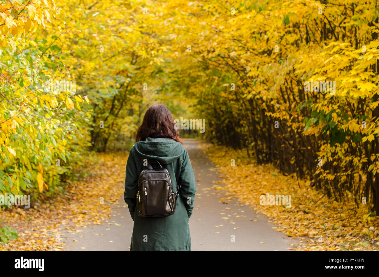 Long dark hair back view hi-res stock photography and images - Alamy