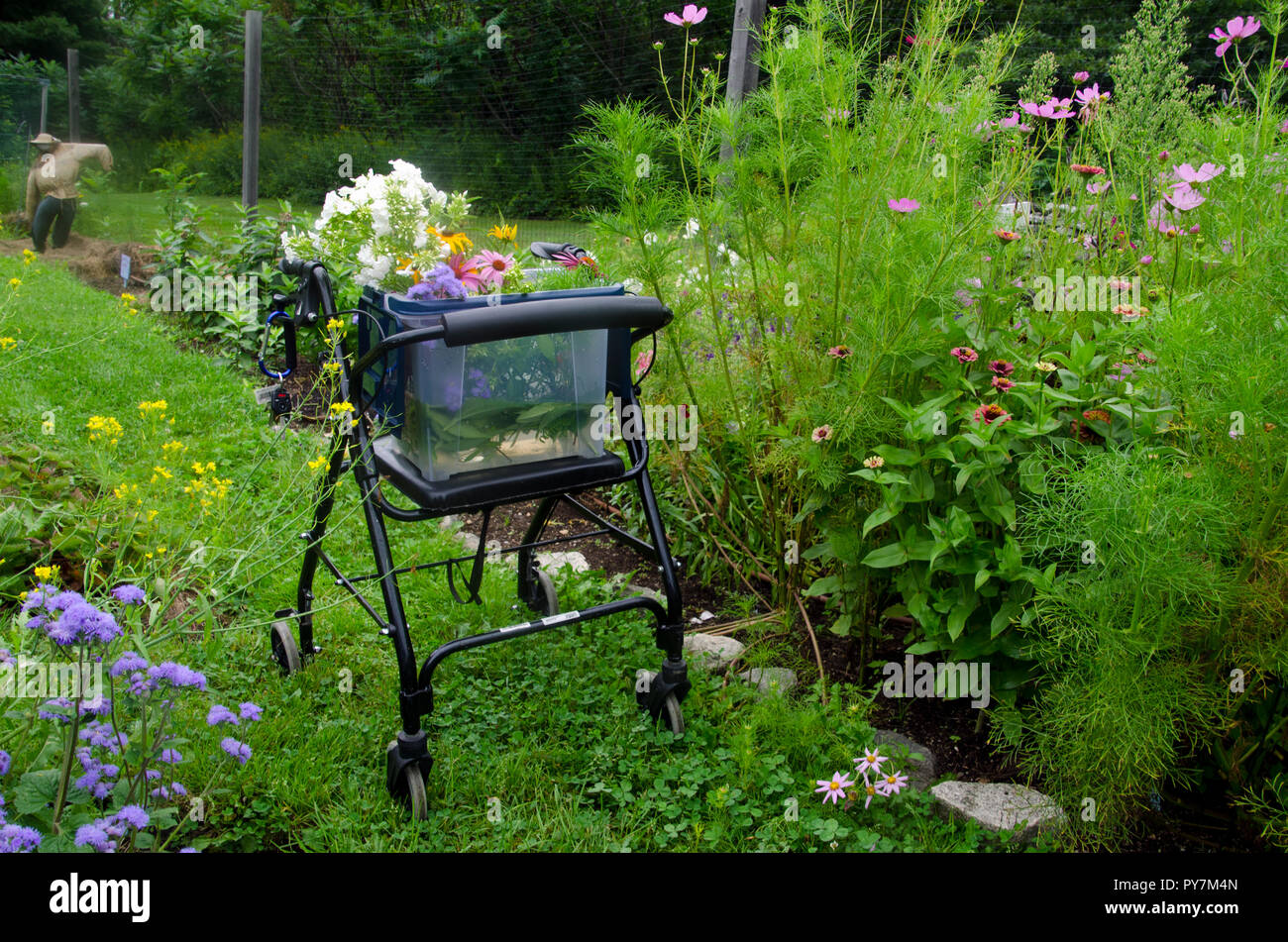 Disabled handicap accessibility hi-res stock photography and images - Alamy