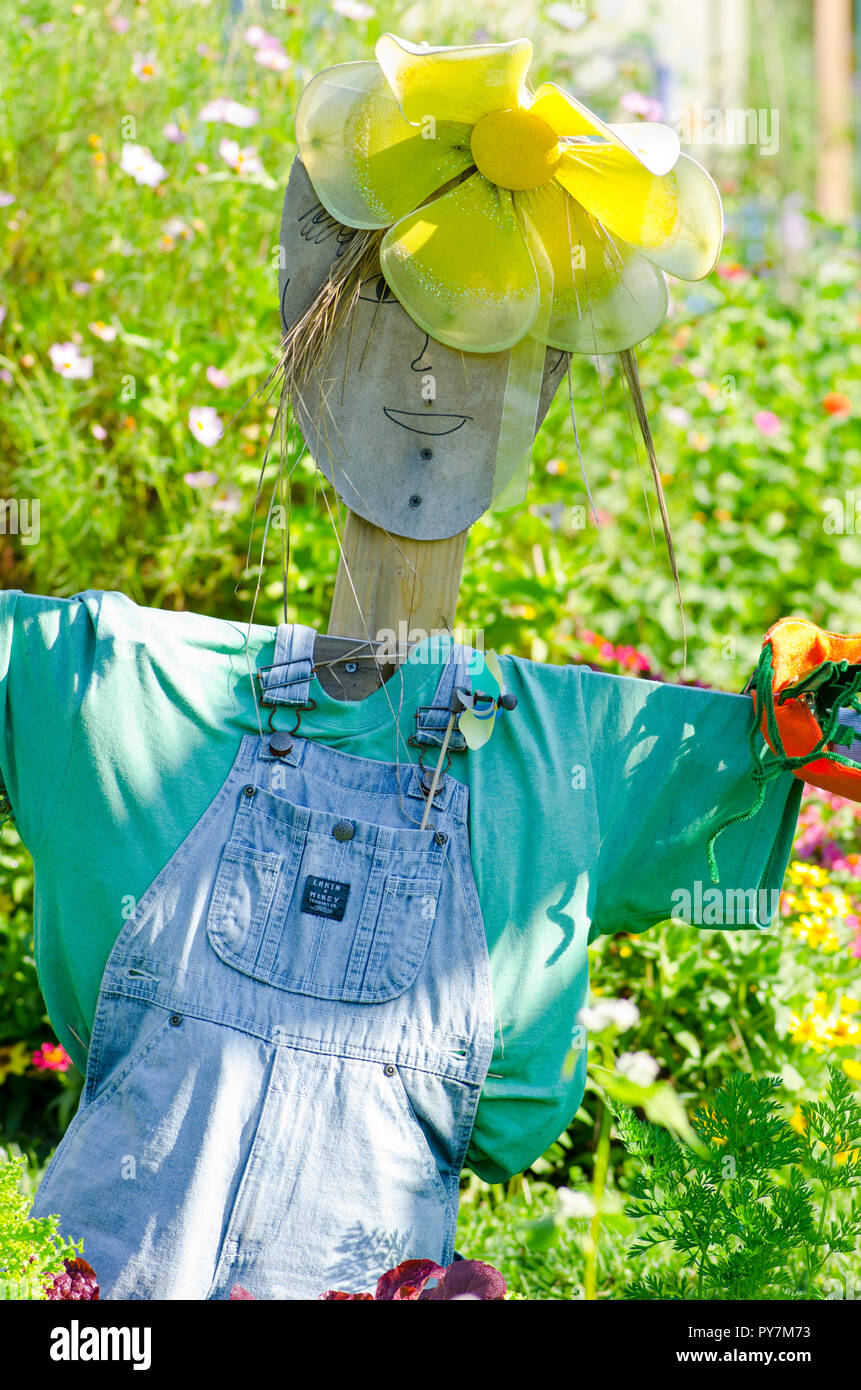 Female scarecrow hi-res stock photography and images - Alamy