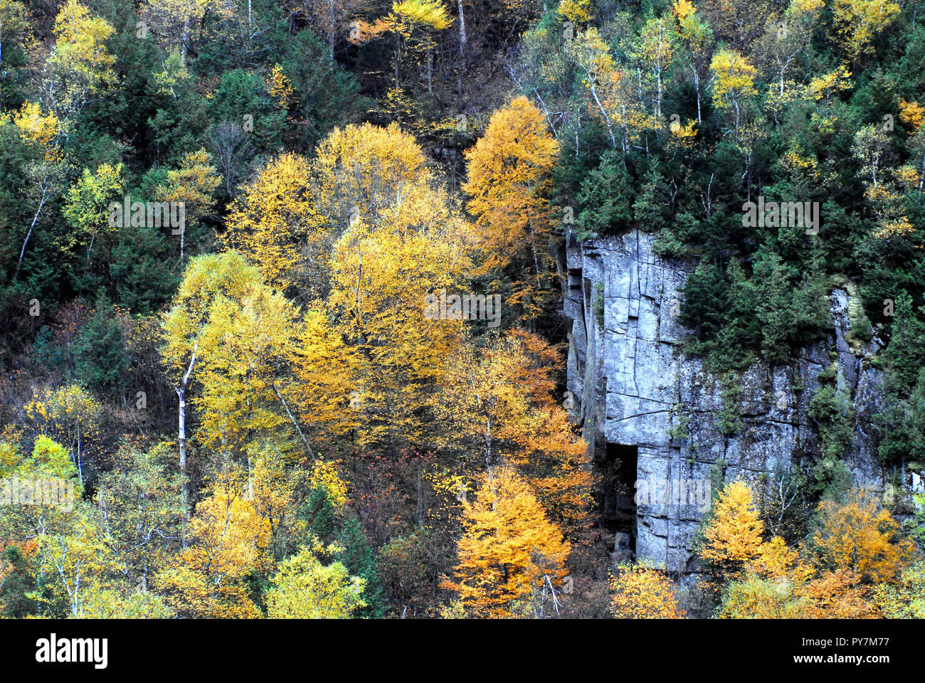 Beautiful Autumn colors in the mountains of Northern New York state ...