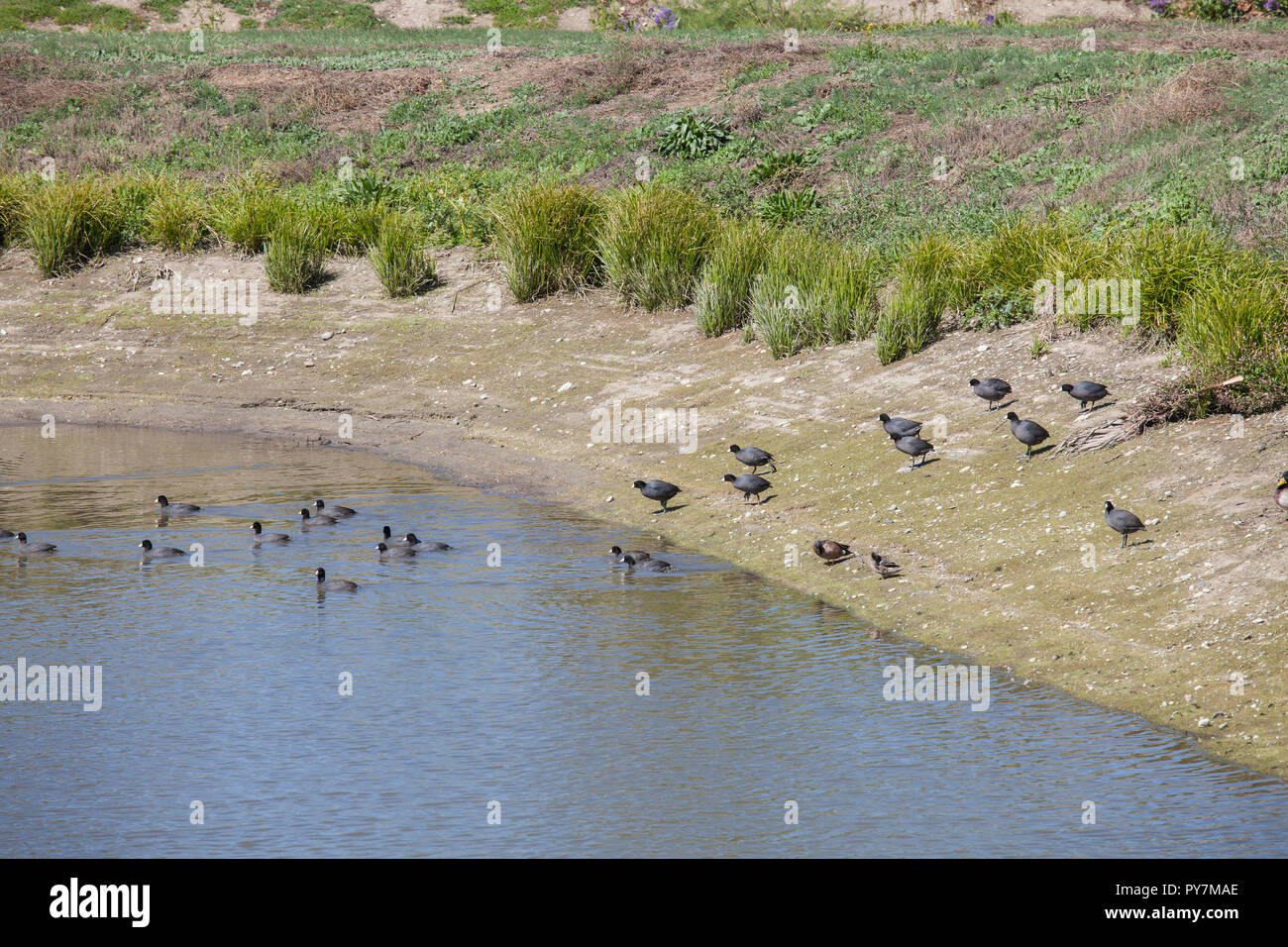 Desilting hi-res stock photography and images - Alamy