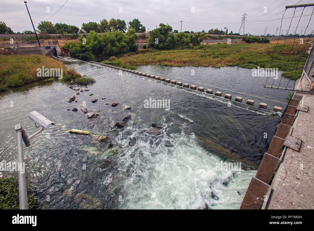 Natural Water Filtration Using Plants