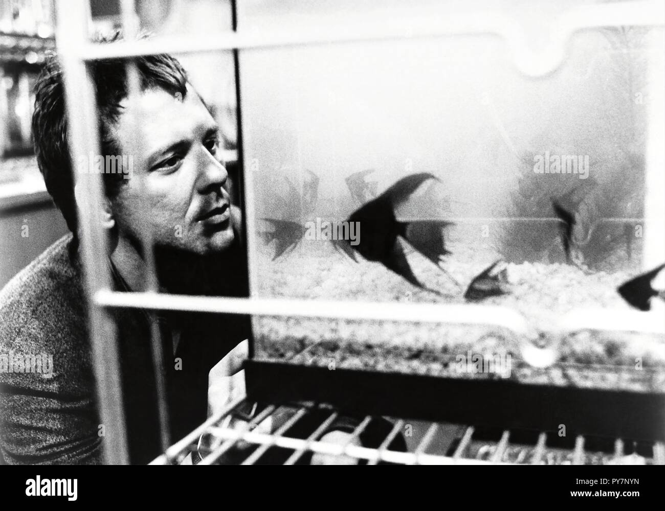 Original film title: RUMBLE FISH. English title: RUMBLE FISH. Year ...