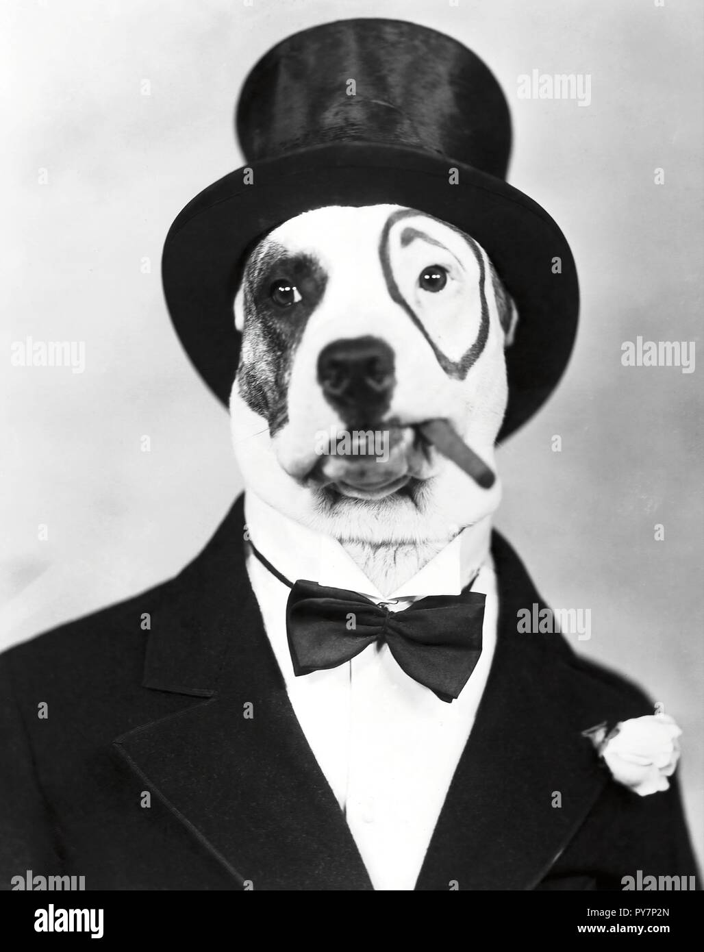 Hal roach our gang hi-res stock photography and images - Alamy