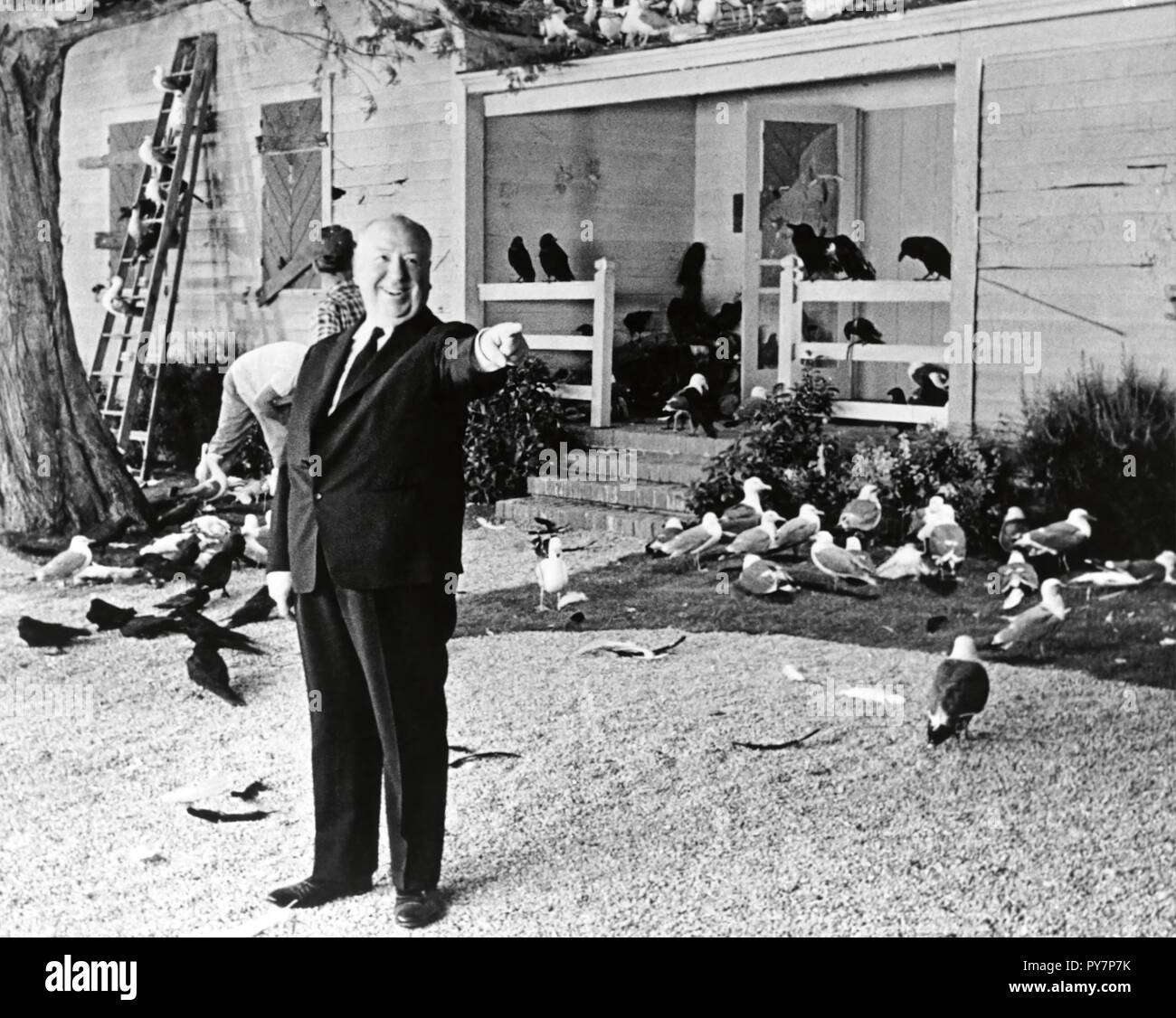 Original film title: THE BIRDS. English title: THE BIRDS. Year: 1963 ...