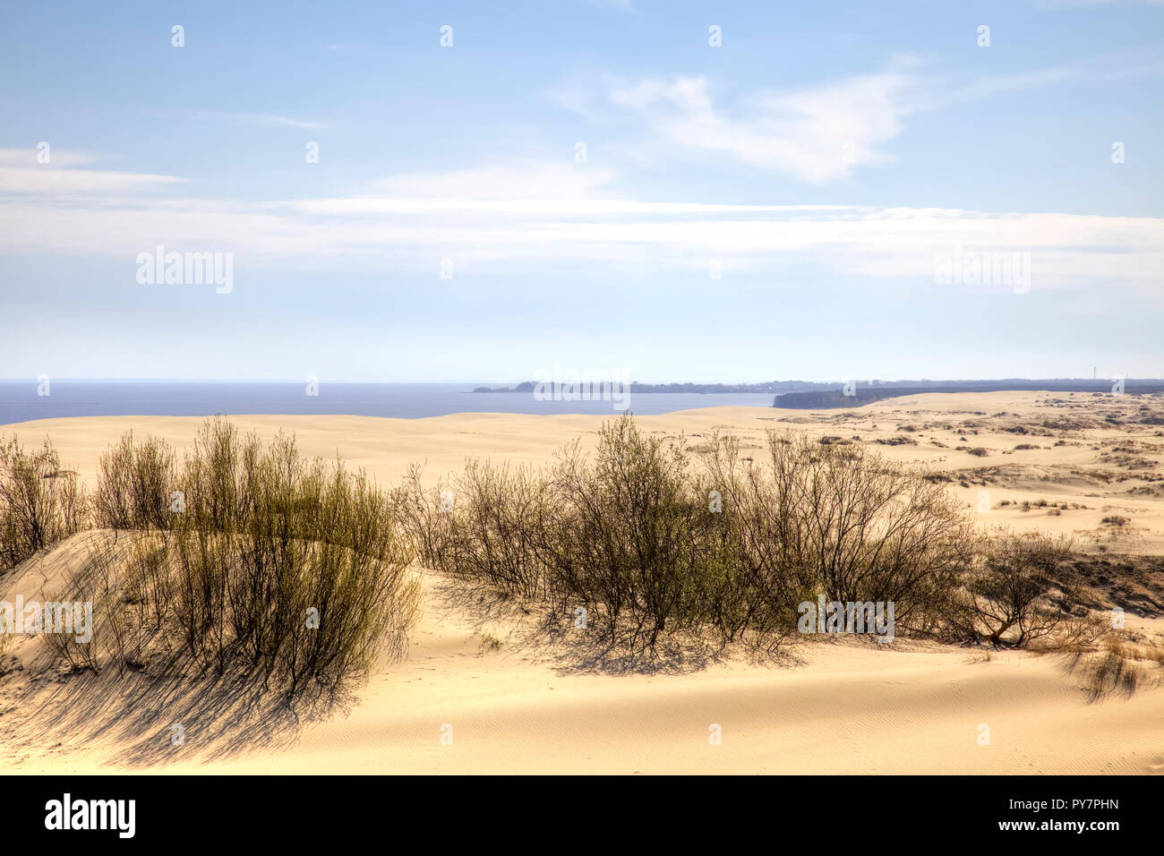Kaliningrad region. View of the Curonian Spit, from the height of the ...