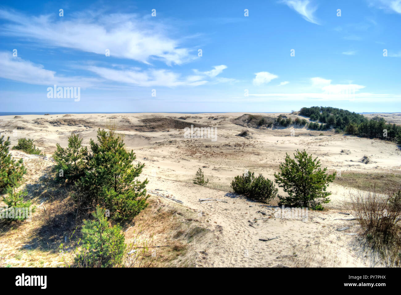 Kaliningrad region. View of the Curonian Spit, from the height of the ...