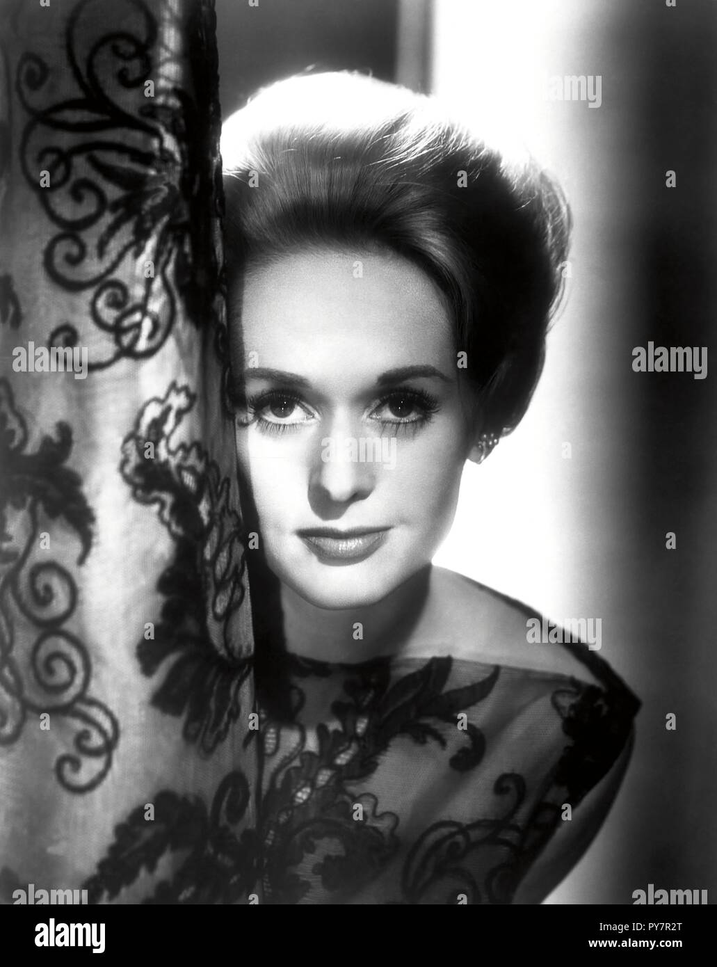 Marnie Hall's Instagram, Twitter & Facebook on IDCrawl