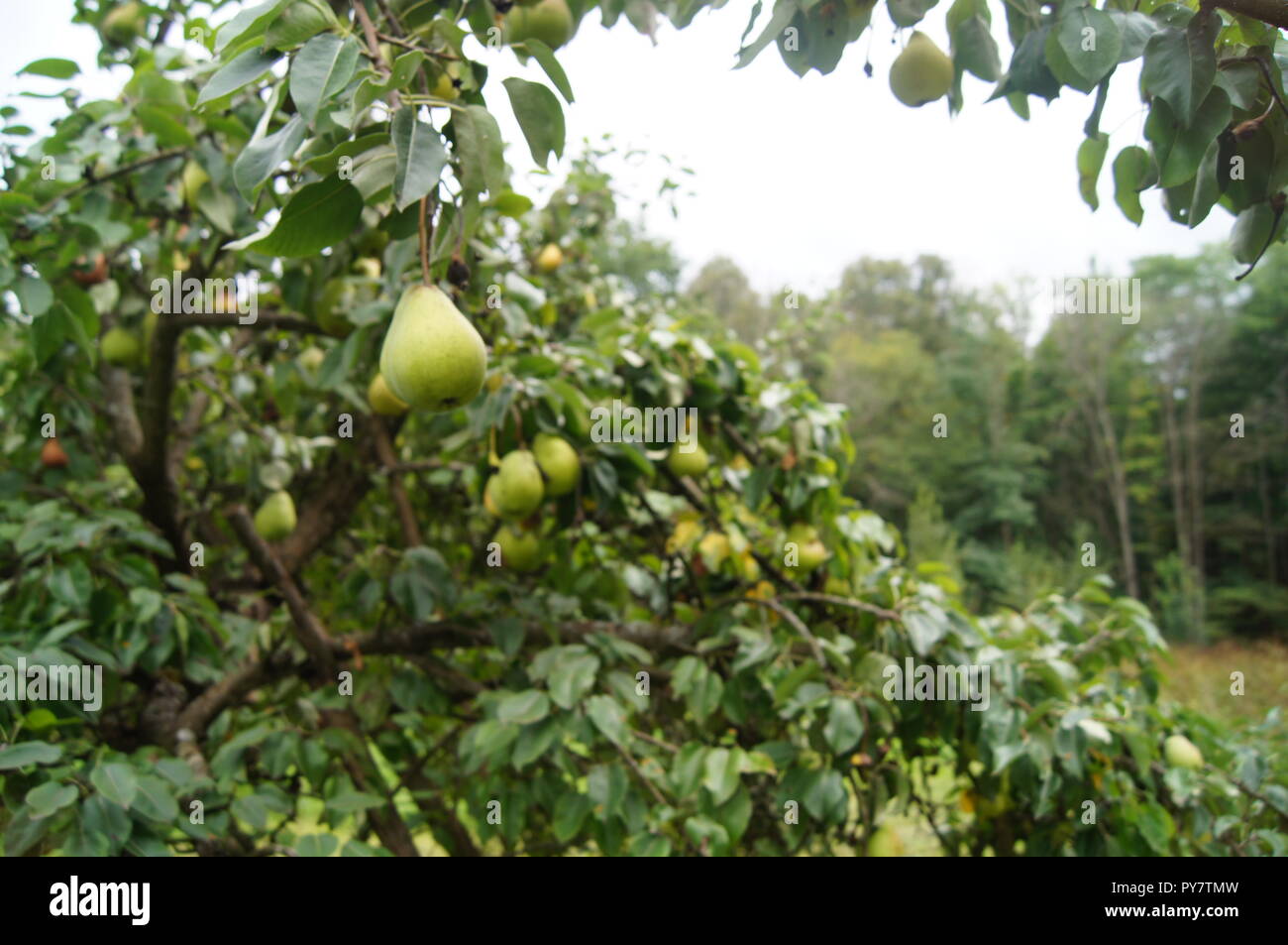 Fantasizing hi-res stock photography and images - Alamy