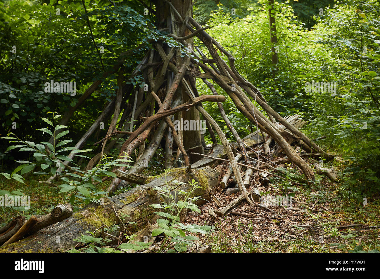 Bushcraft den in the woods, Croydon, England, United Kingdom, Europe ...