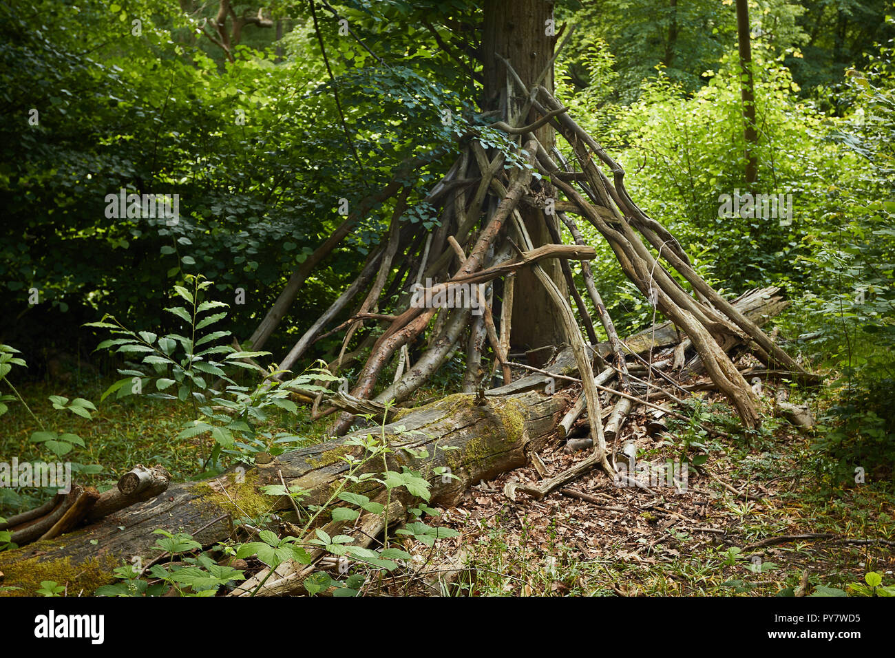 Bushcraft den in the woods, Croydon, England, United Kingdom, Europe ...