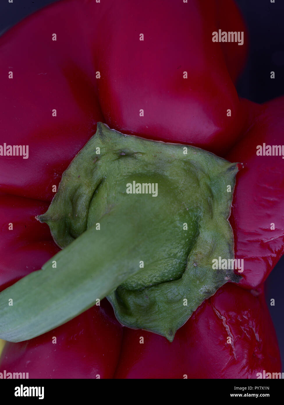 Capsicum annuum red sweet pepper vegetable vegetables paprika peppers ...